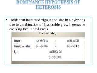 Heterosis breeding in horticultural crops | PPTX