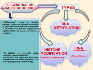Heterosis Breeding in Rice | PPT