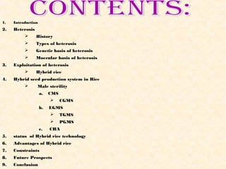 Heterosis Breeding in Rice | PPT