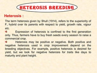 Heterosis Breeding in Rice | PPT