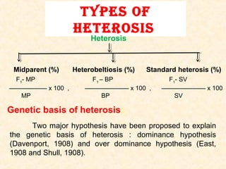 Heterosis Breeding in Rice | PPT