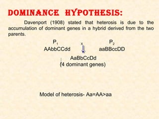 Heterosis Breeding in Rice | PPT