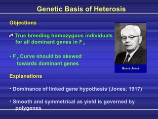 Heterosis Breeding in Rice | PPT