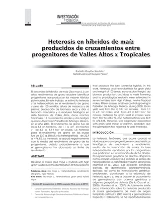 heterosis maiz en zona Tropical y templado | PDF