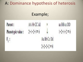 Heterosis | PPSX