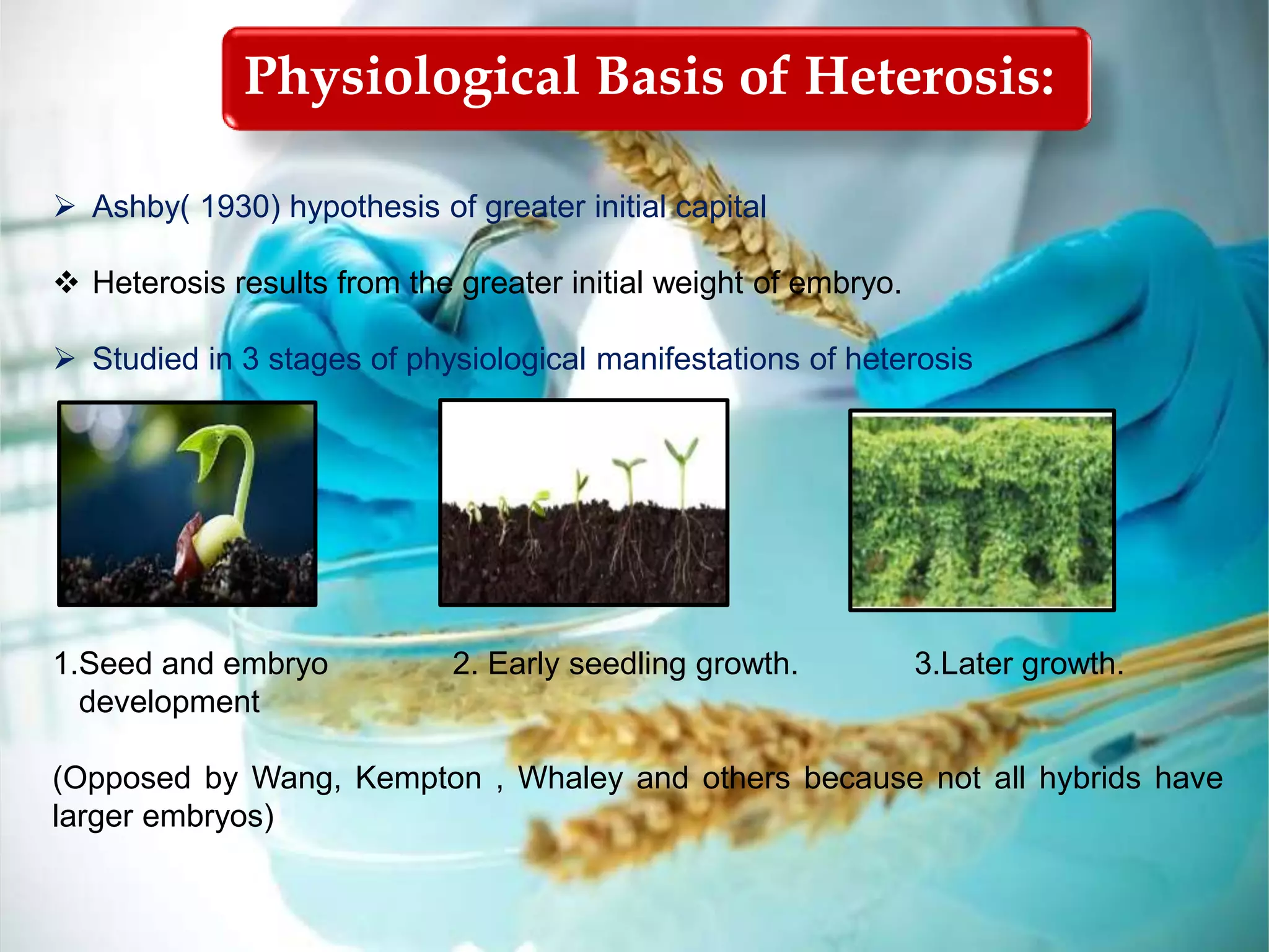 heterosis ppt zahid mushtaq 10.pptx