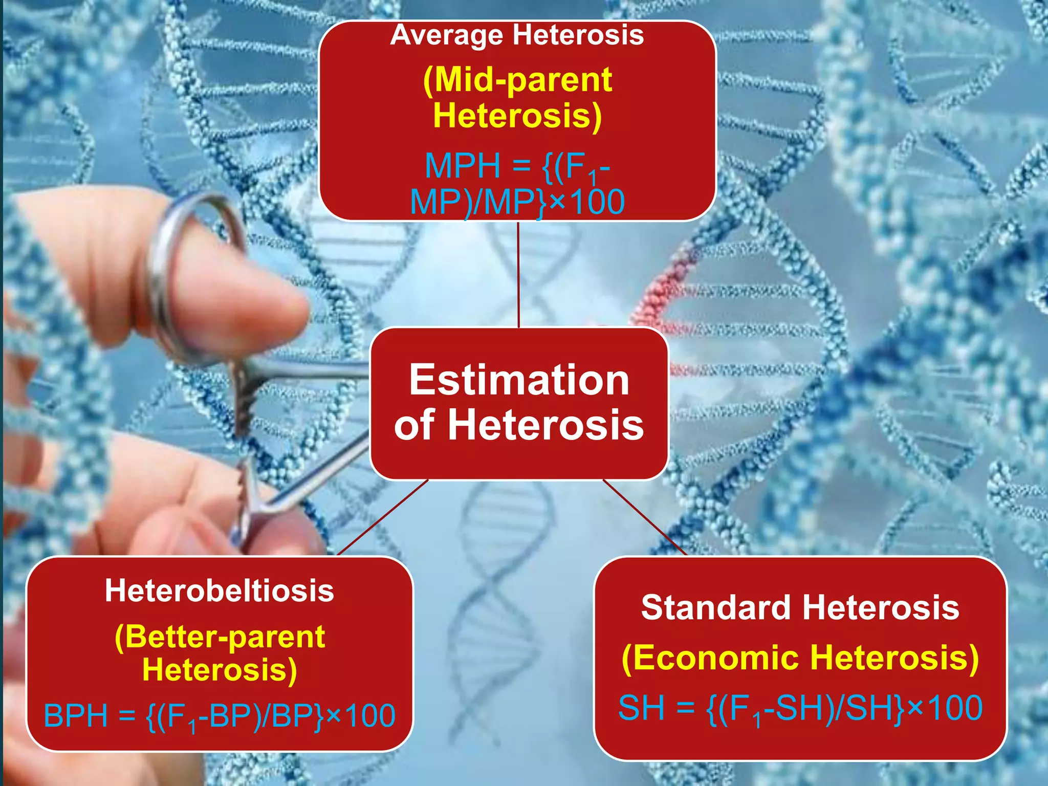 heterosis ppt zahid mushtaq 10.pptx
