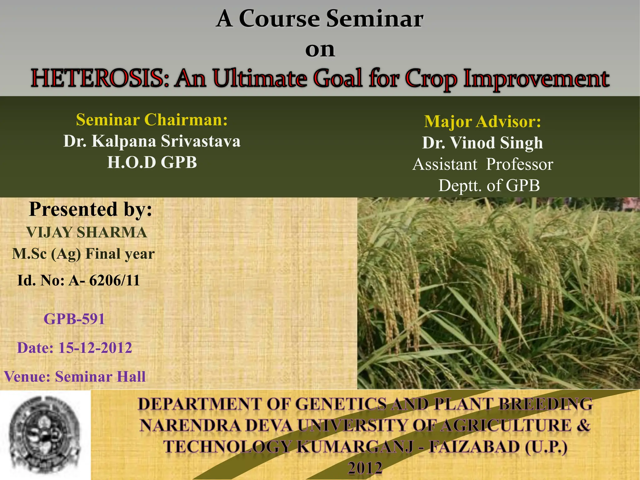 Heterosis ultimate goal for crop improvement.ppt
