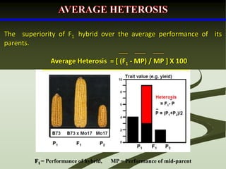 Heterosis ultimate goal for crop improvement.ppt