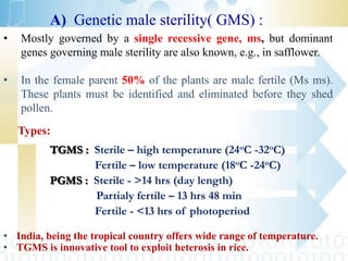 Heterosis ultimate goal for crop improvement.ppt