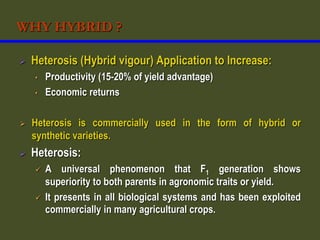 Heterosis ultimate goal for crop improvement.ppt