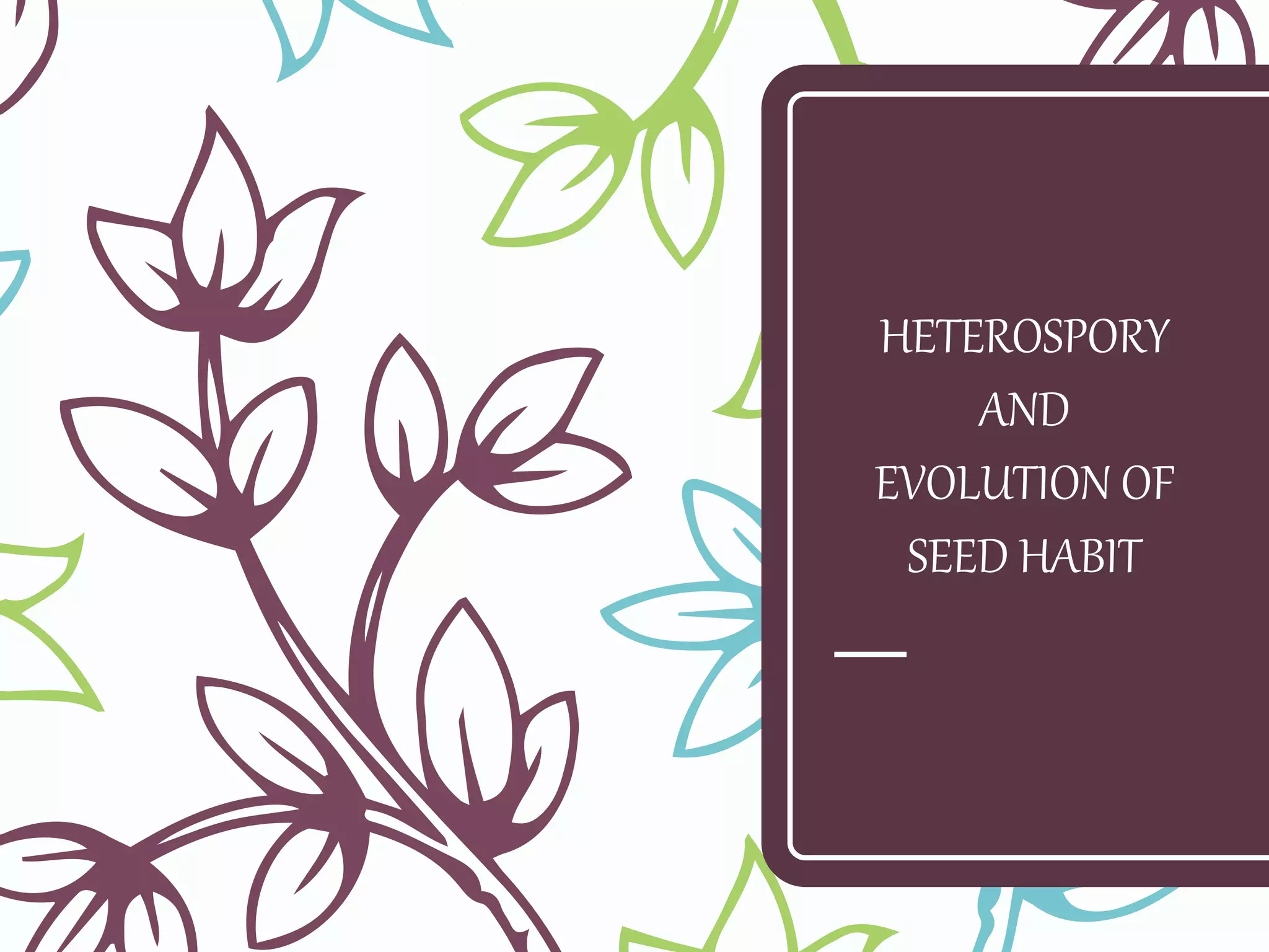Heterospory and evolution of seed habit | PPTX