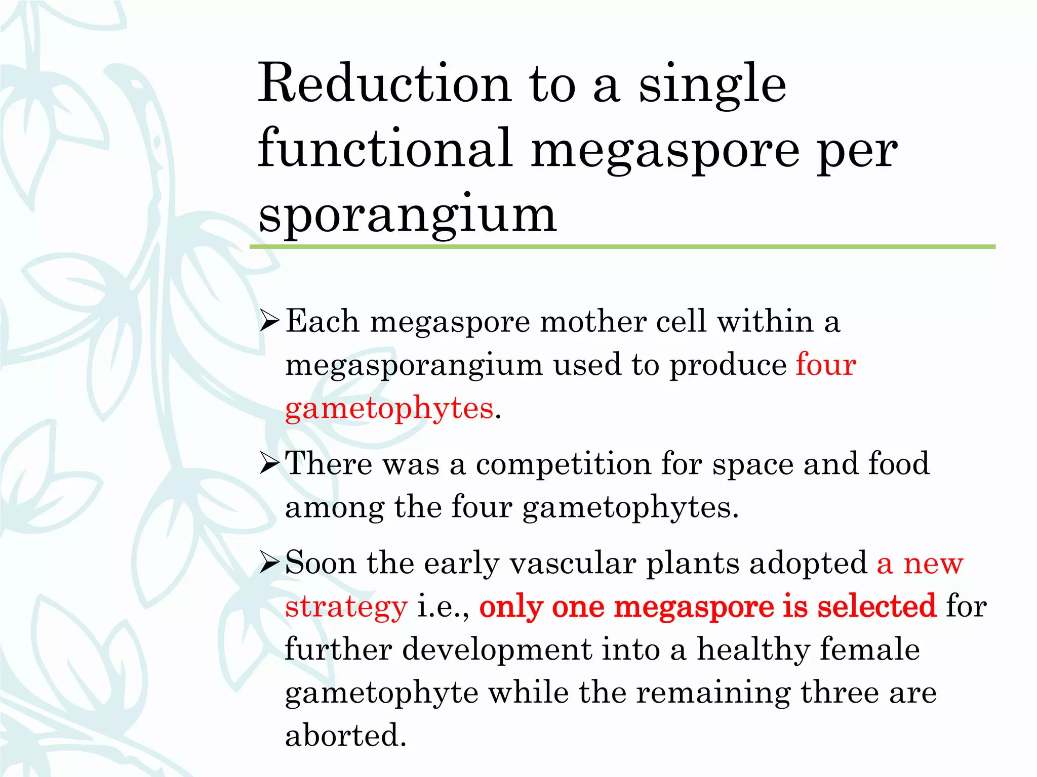 Heterospory and evolution of seed habit | PPTX