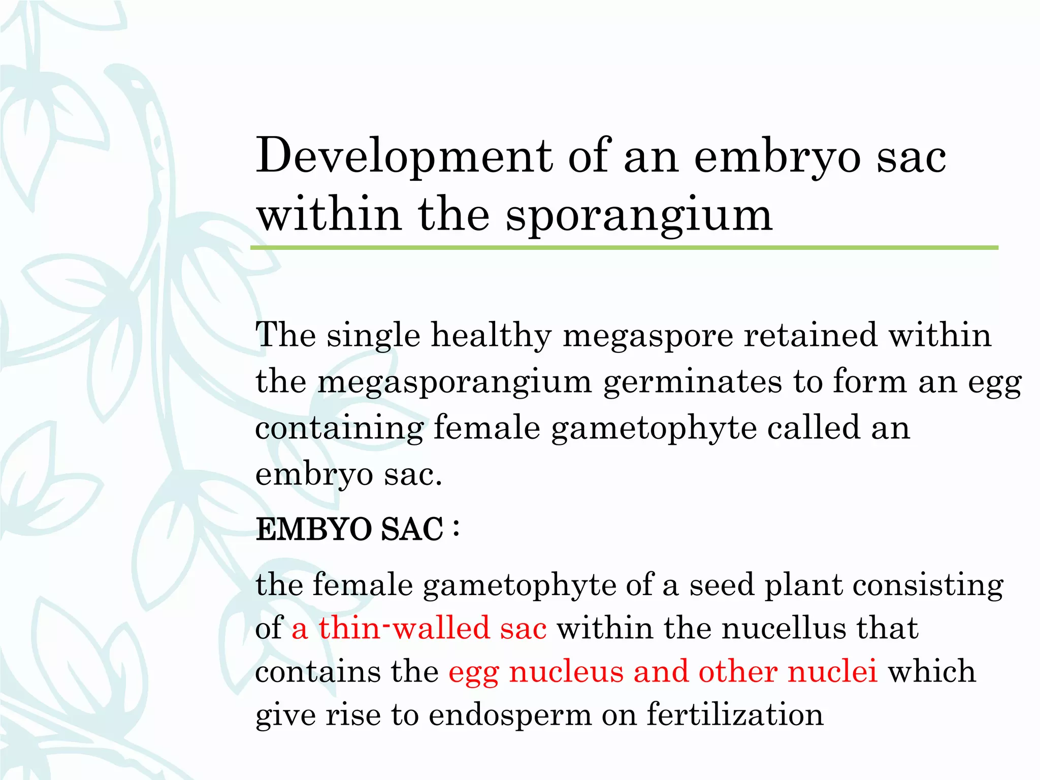 Heterospory and evolution of seed habit | PPTX