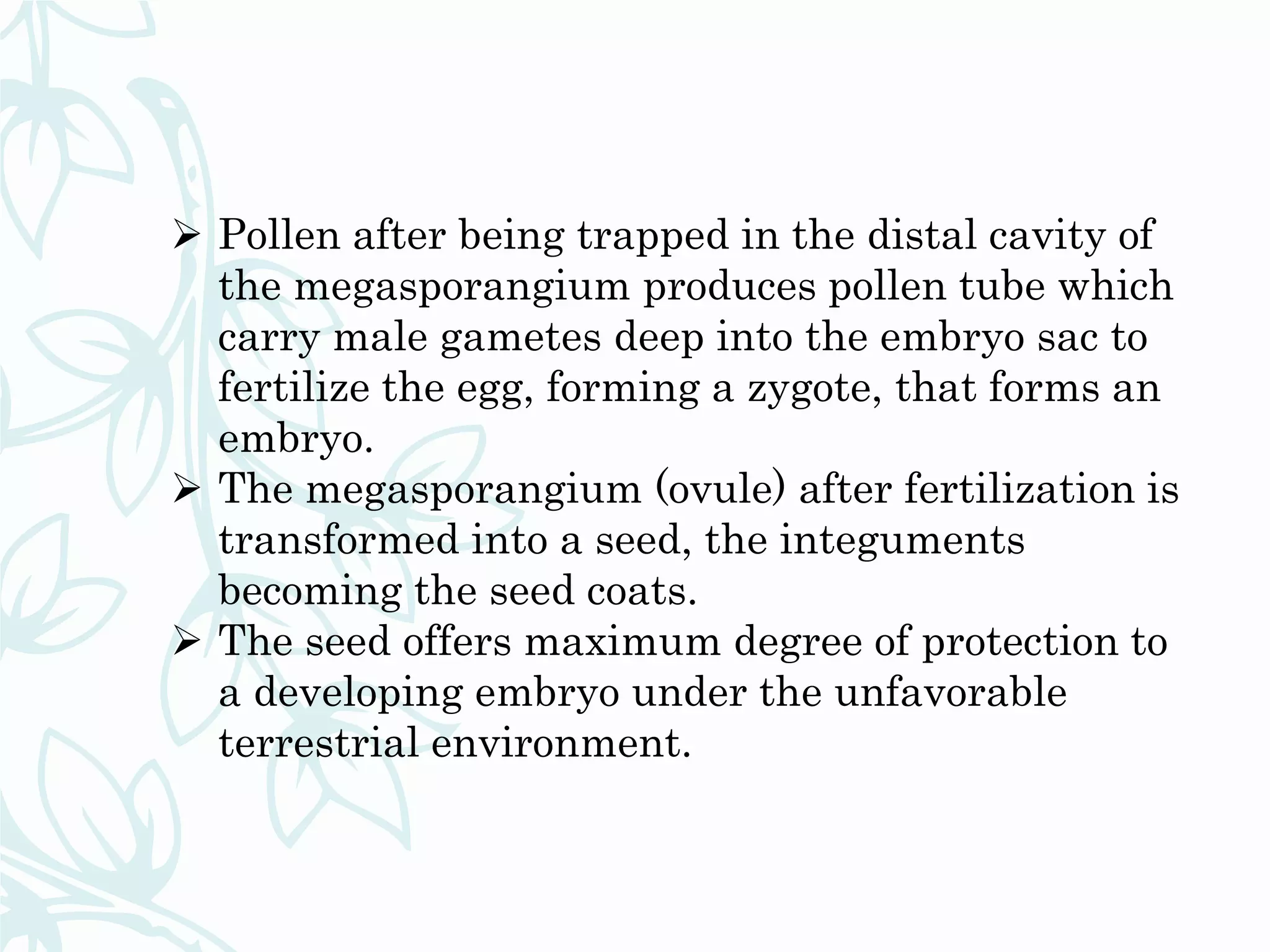 Heterospory and evolution of seed habit | PPTX