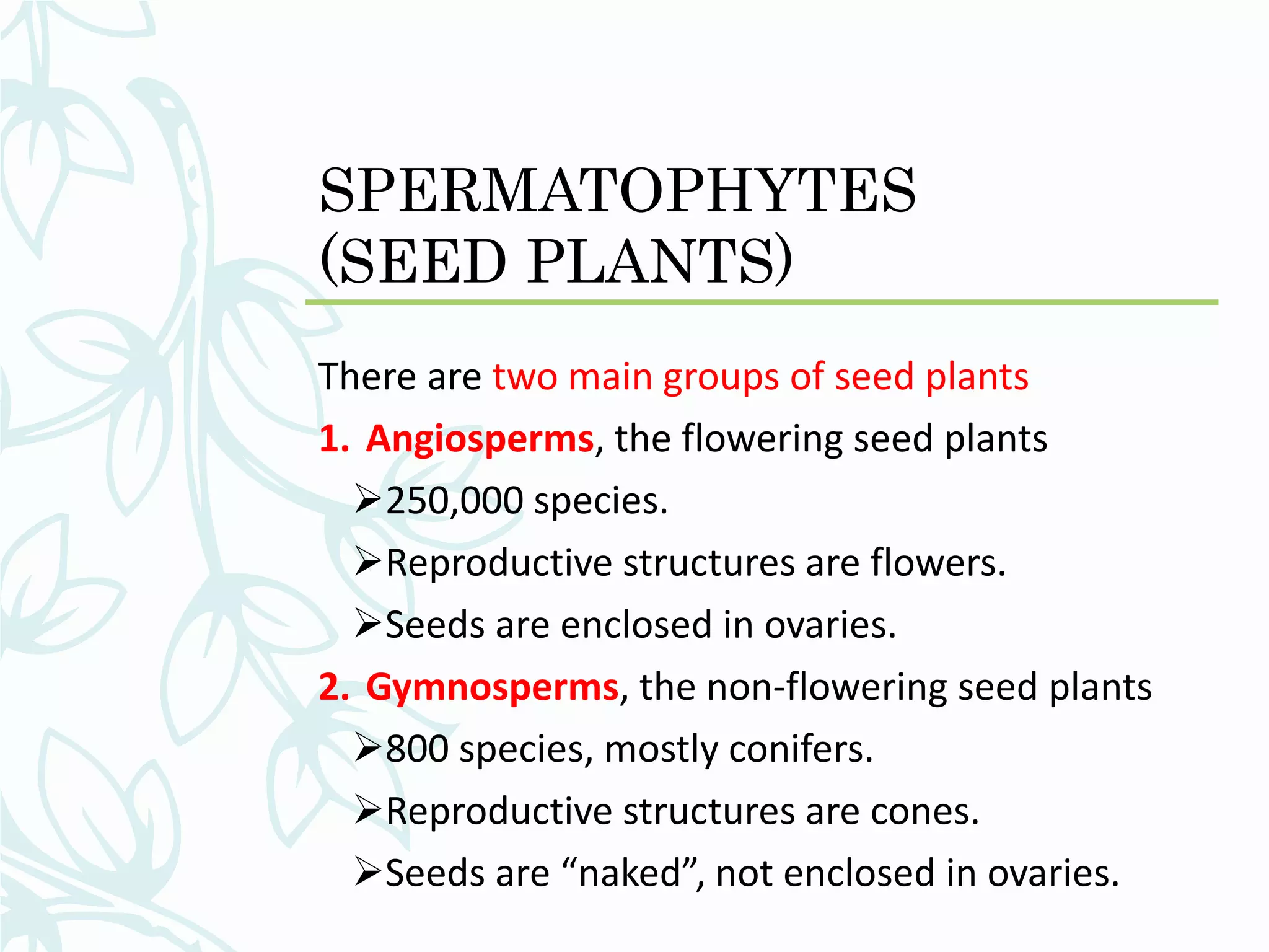 Heterospory and evolution of seed habit | PPTX