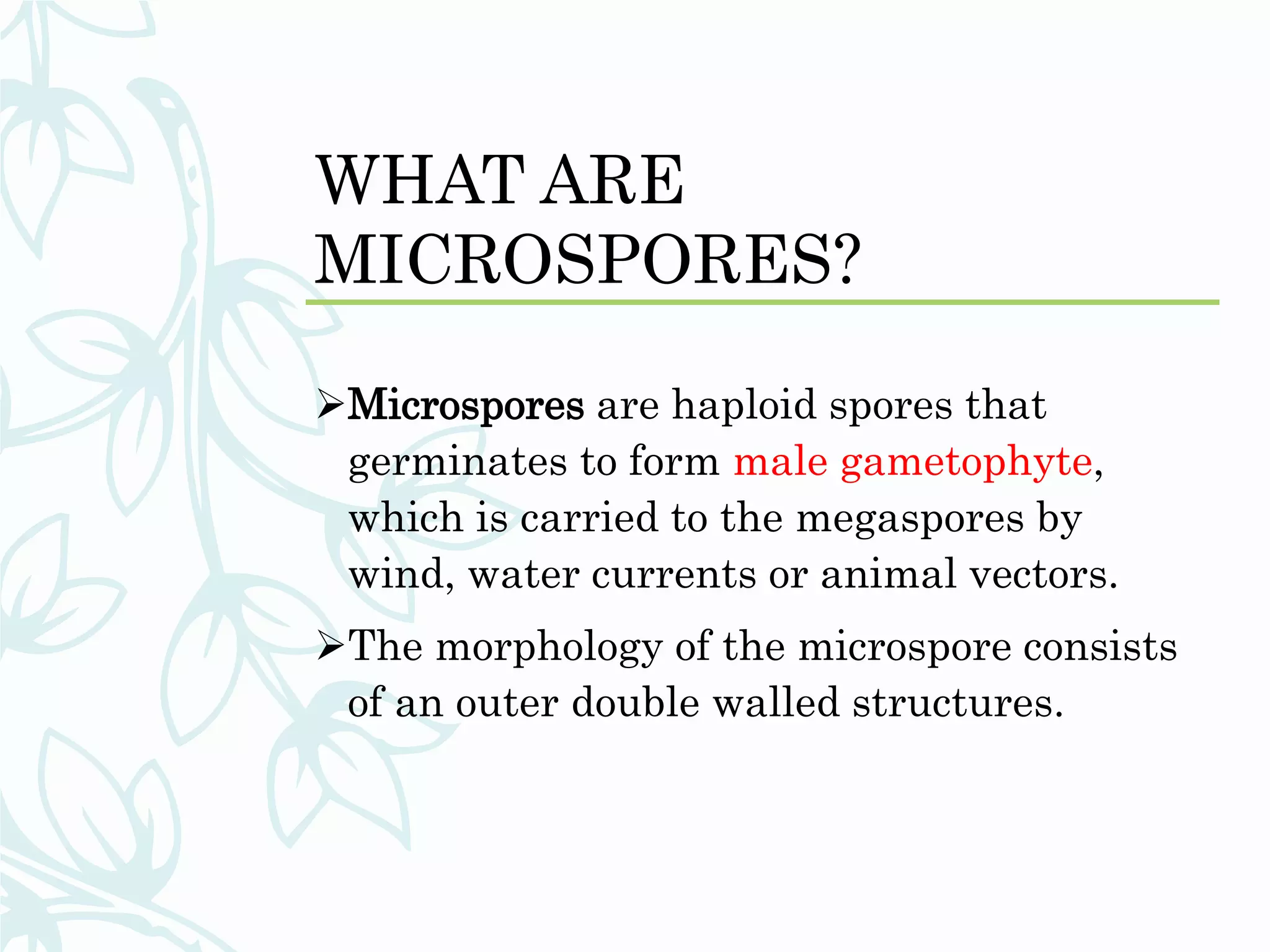 Heterospory and evolution of seed habit | PPTX