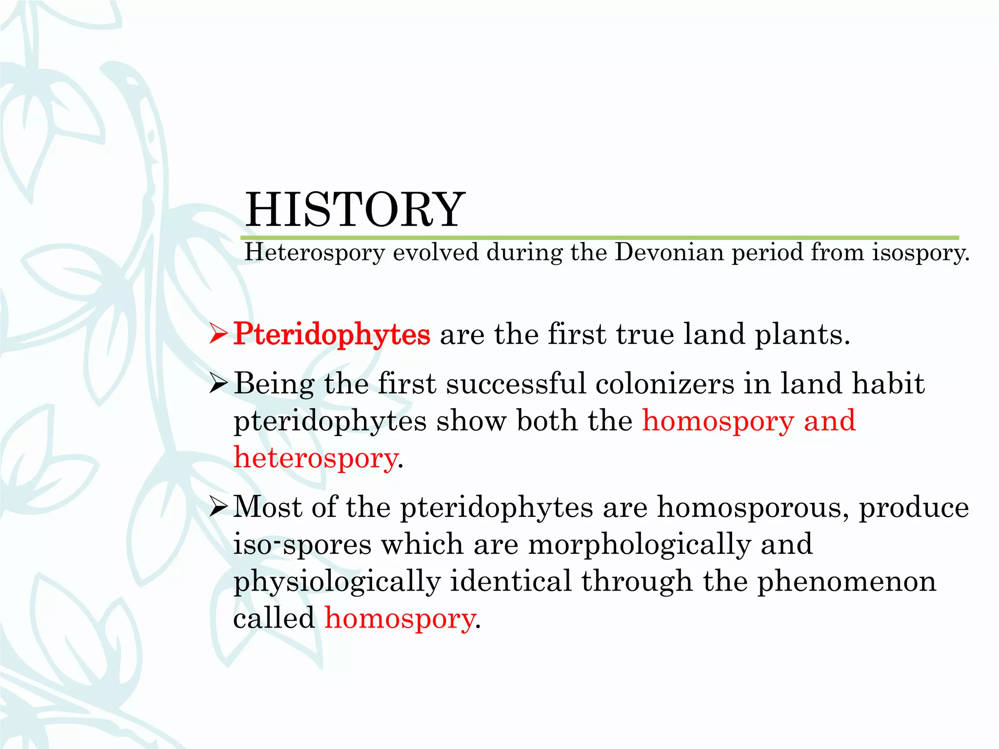 Heterospory and evolution of seed habit | PPTX