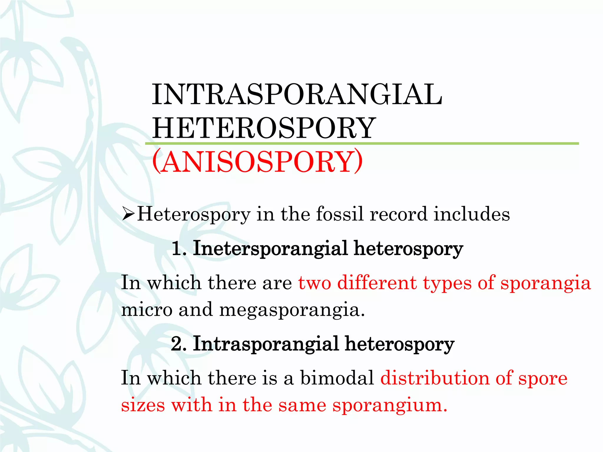 Heterospory and evolution of seed habit | PPTX