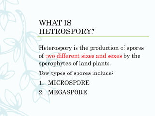 Heterospory and evolution of seed habit | PPTX