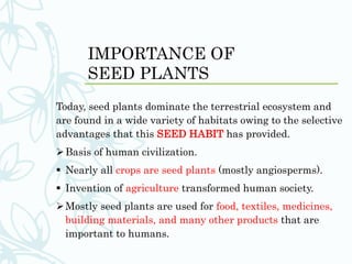 Heterospory and evolution of seed habit | PPTX