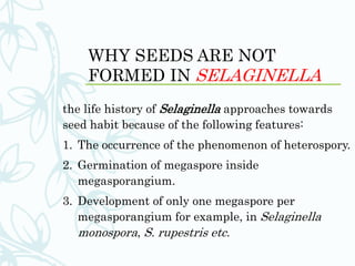 Heterospory and evolution of seed habit | PPTX