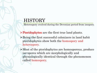 Heterospory and evolution of seed habit | PPTX