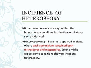 Heterospory and evolution of seed habit | PPTX
