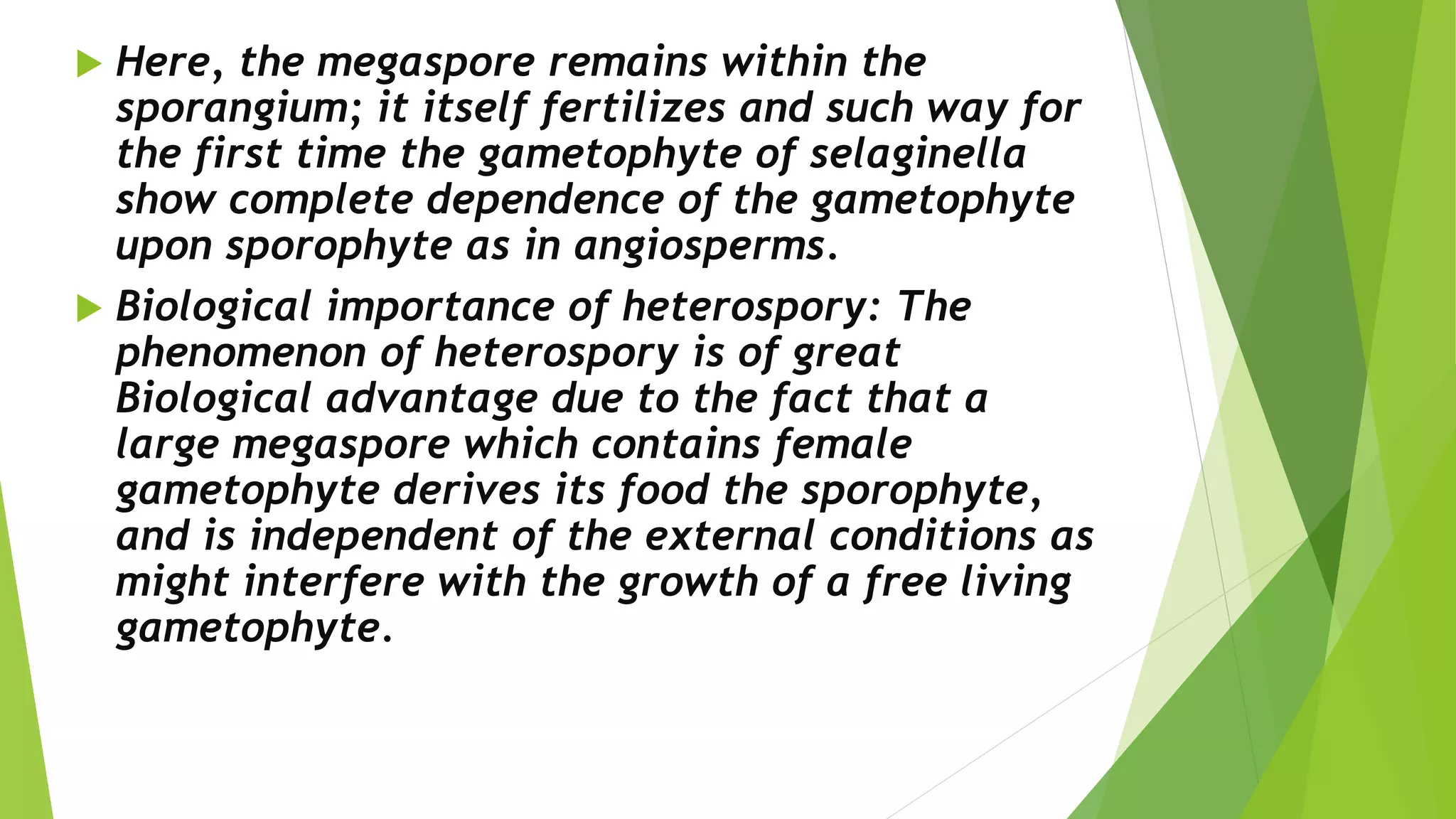 Heterospory and seed habit | PPTX