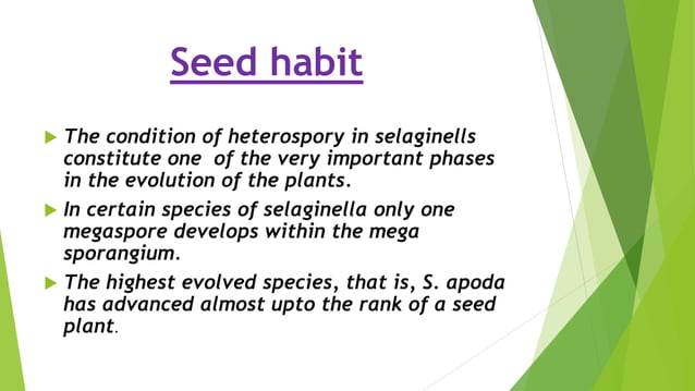Heterospory and seed habit | PPTX | Gardening | Home & Garden