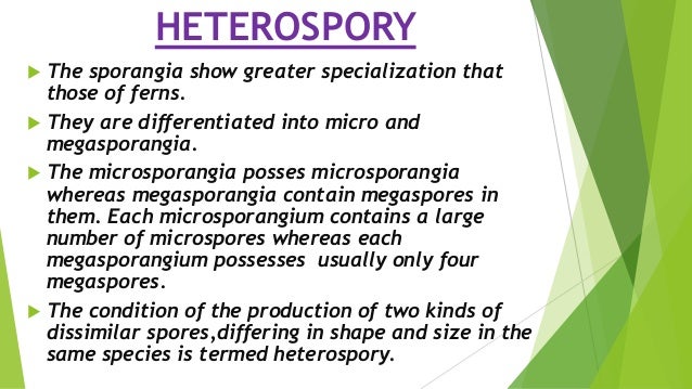 Heterospory and seed habit