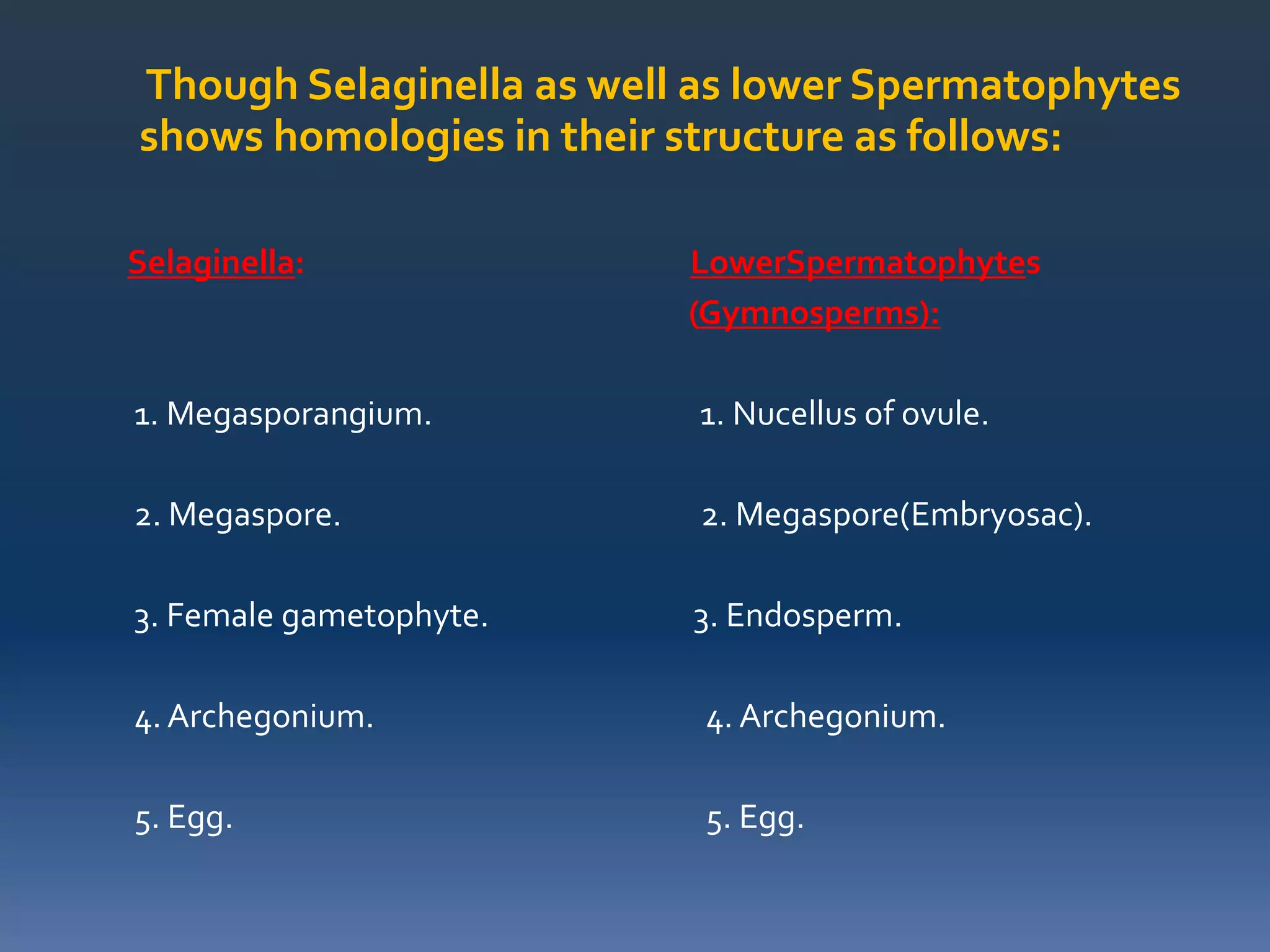 HETEROSPORY and SEED HABIT.pptx