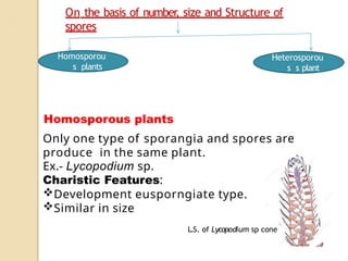 HETEROSPORY AND SEED HABIT.pdf download.pptx