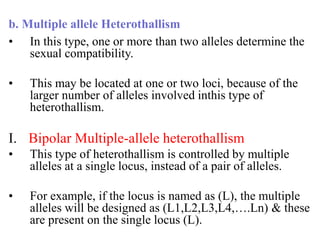 Heterothalism in fungi | PPT