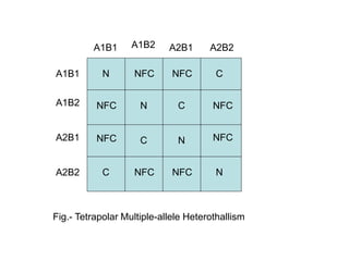 Heterothalism in fungi | PPT