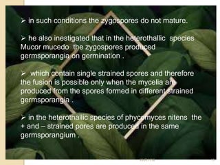 Heterothallism | PPTX
