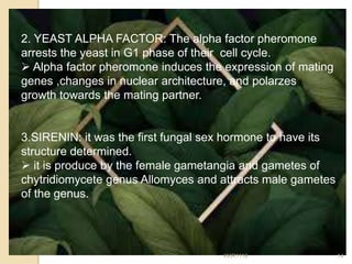 Heterothallism | PPTX