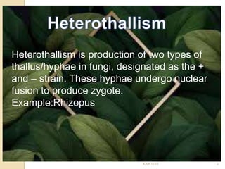 Heterothallism | PPTX