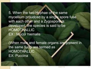Heterothallism | PPTX