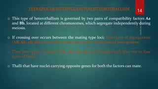 HETEROTHALLISM & PARASEXUALITY IN FUNGI. | PPTX