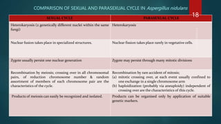HETEROTHALLISM & PARASEXUALITY IN FUNGI. | PPTX