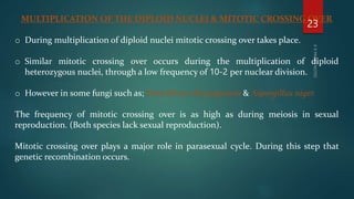 HETEROTHALLISM & PARASEXUALITY IN FUNGI. | PPTX