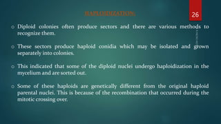 HETEROTHALLISM & PARASEXUALITY IN FUNGI. | PPTX