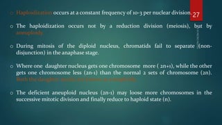 HETEROTHALLISM & PARASEXUALITY IN FUNGI. | PPTX