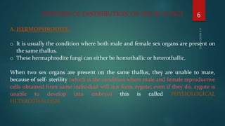 HETEROTHALLISM & PARASEXUALITY IN FUNGI. | PPTX