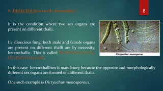 HETEROTHALLISM & PARASEXUALITY IN FUNGI. | PPTX