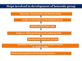 Heterotic pools | PPTX