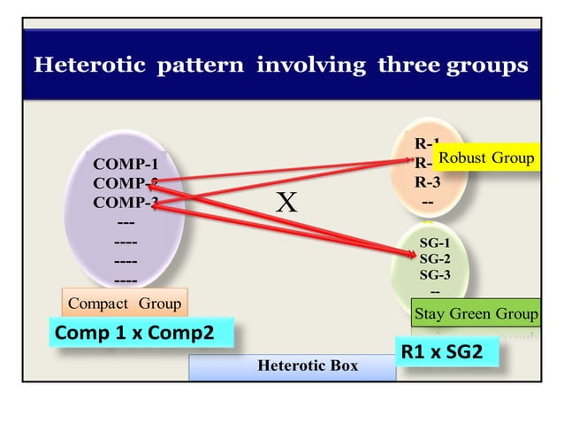 Heterotic pools | PPTX