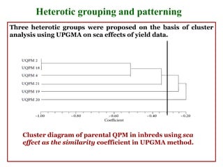 Heterotic pools | PPTX