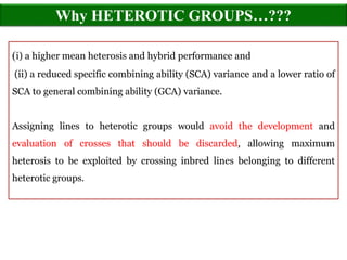 Heterotic pools | PPTX